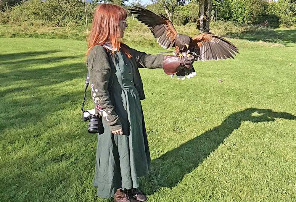 Falconry in Ireland: Where to Go for the Best Experience